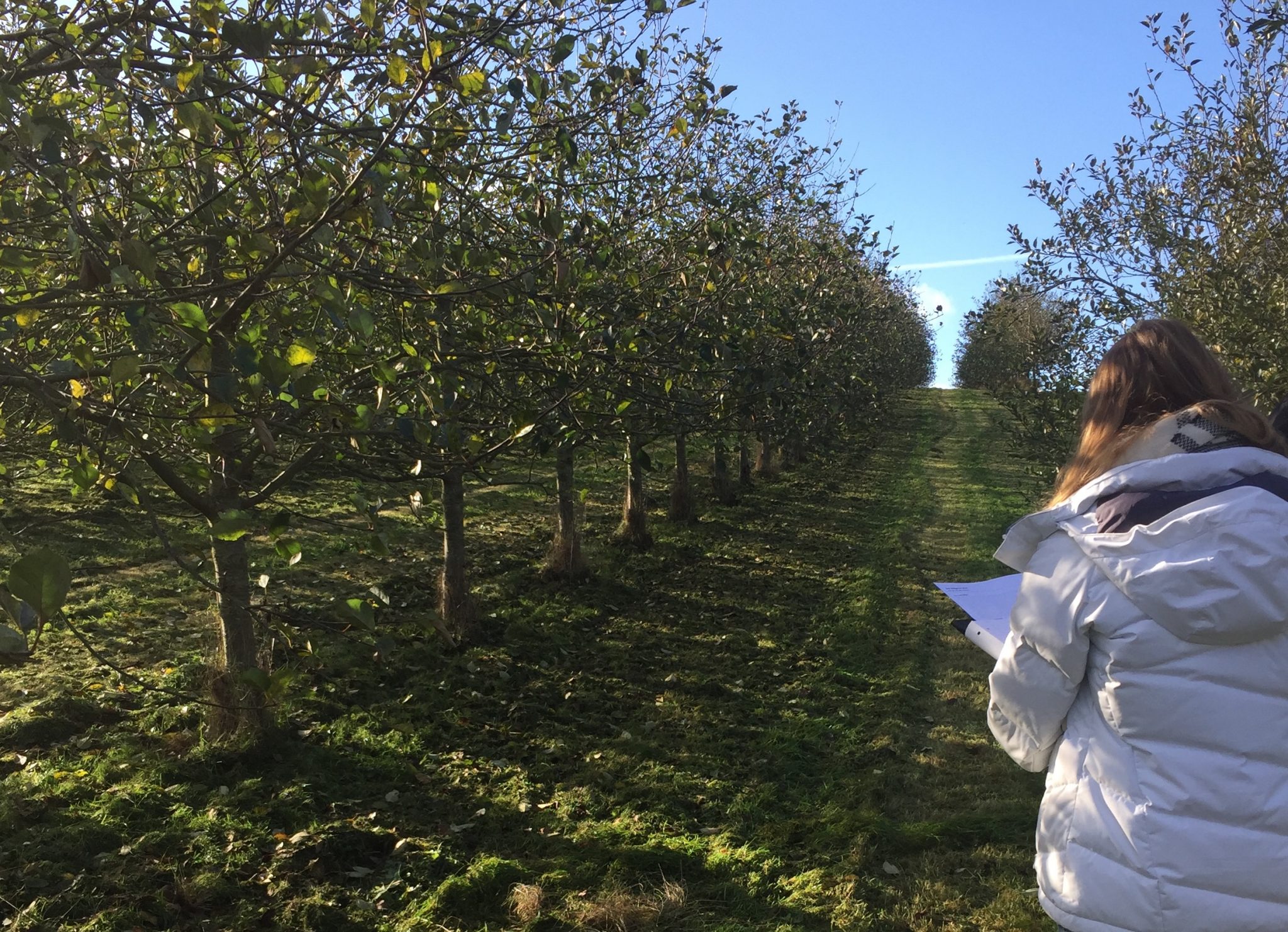 Soil Testing & Landscape Consultancy - The Soil Farm