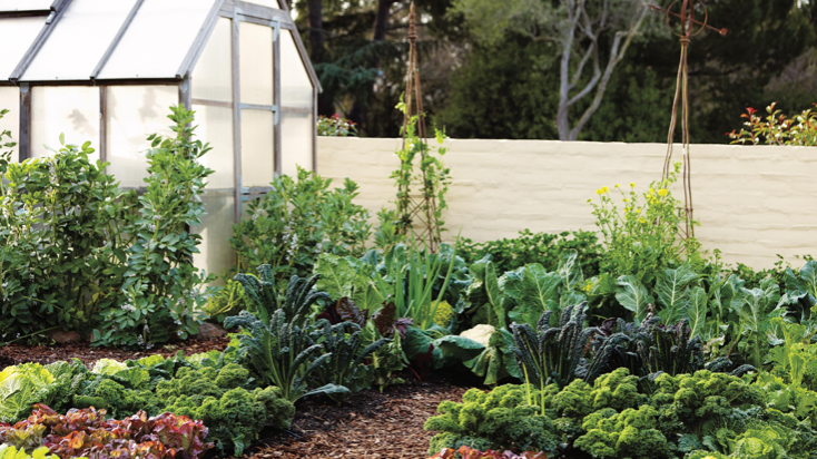 Foodscaping - The Soil Farm